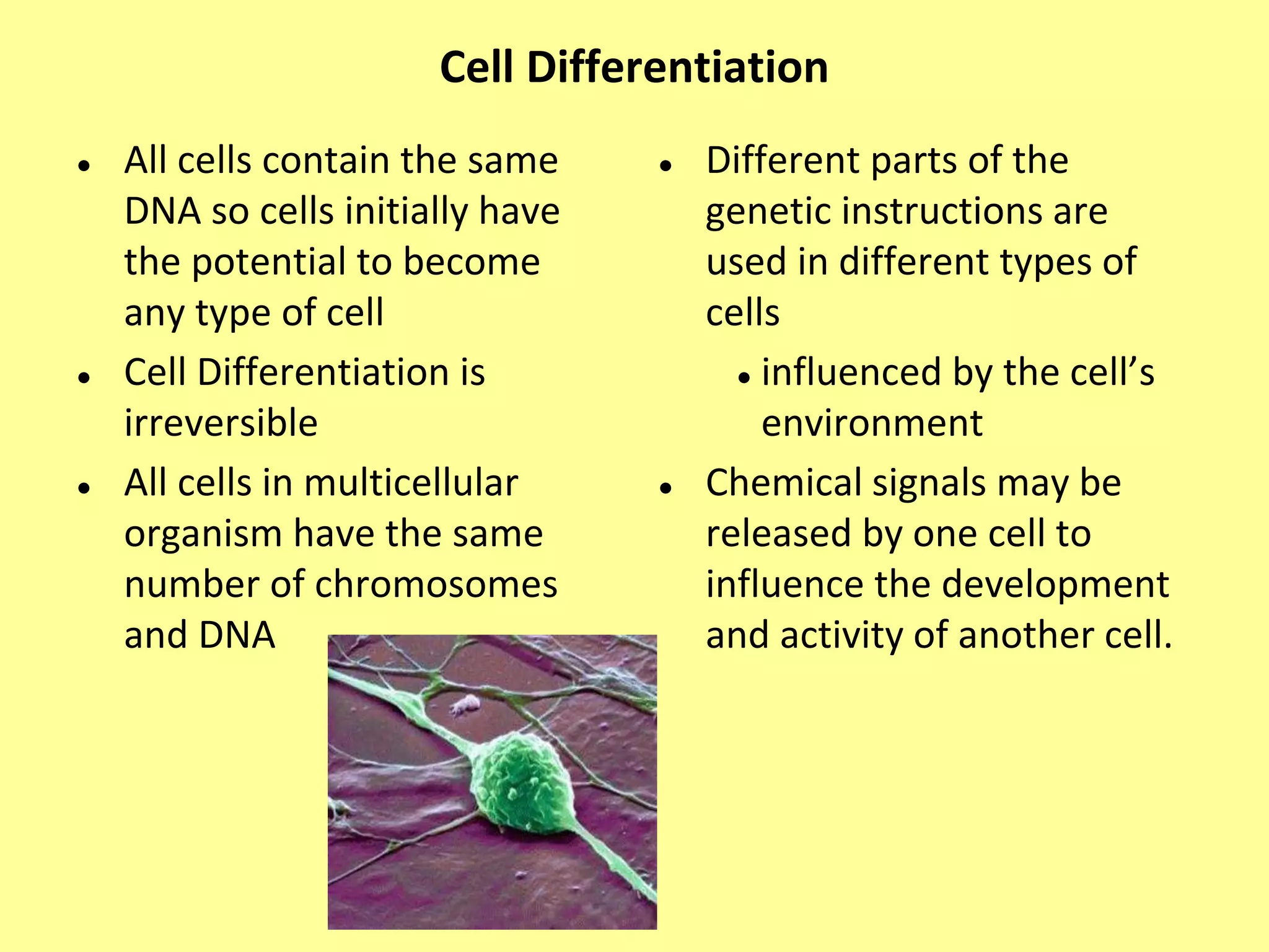 Cell differentiation | PPTX