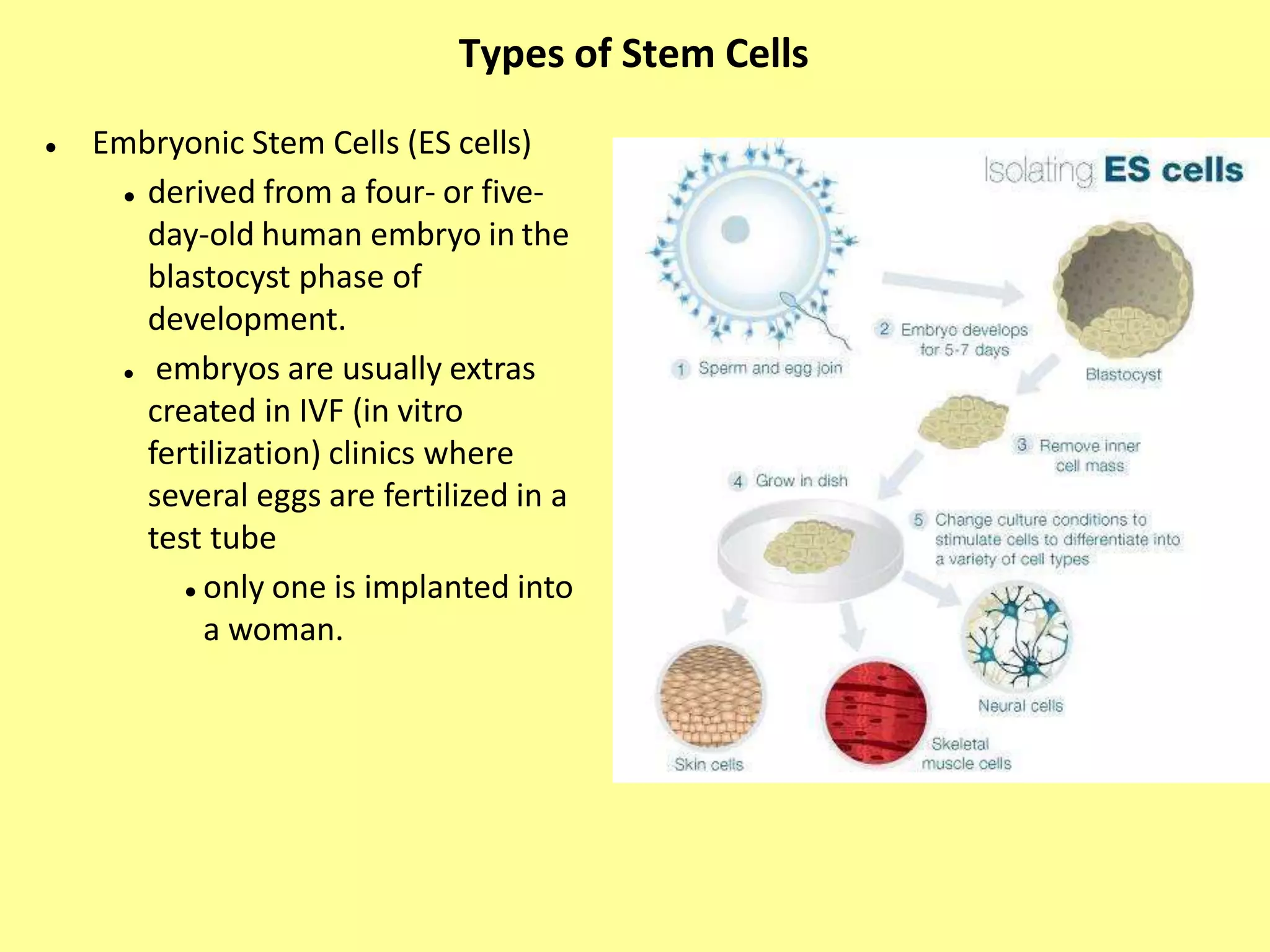 cell differentiation.pptx