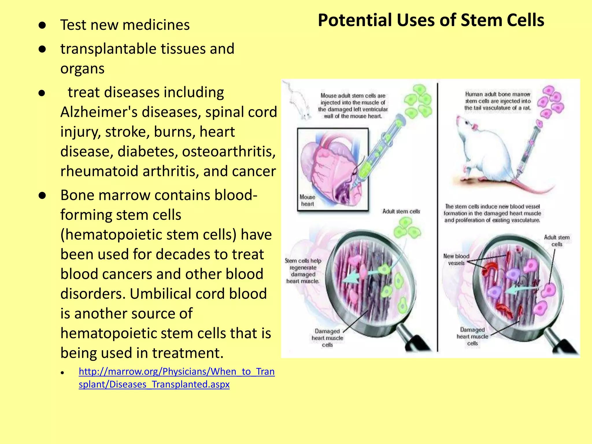 cell differentiation.pptx