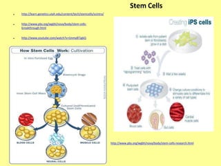 cell differentiation.pptx
