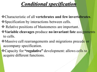 CELL DIFFERENTIATION.pdf a ppt on cell differentiation | PDF