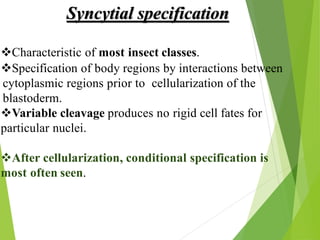 CELL DIFFERENTIATION.pdf a ppt on cell differentiation | PDF