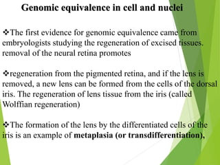CELL DIFFERENTIATION.pdf a ppt on cell differentiation | PDF
