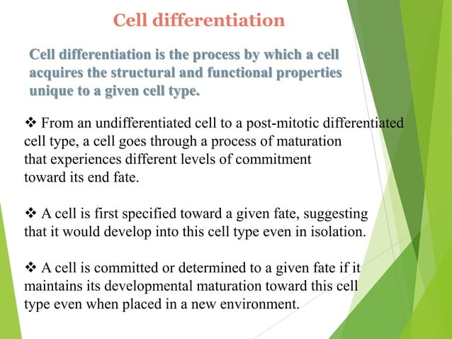 CELL DIFFERENTIATION.pdf a ppt on cell differentiation | PDF