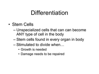 Cell differentiation notes | PPT | Biological Sciences | Science