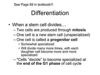 Cell differentiation notes | PPT