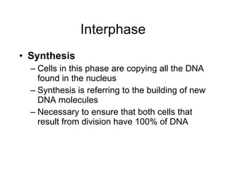 Cell differentiation notes | PPT
