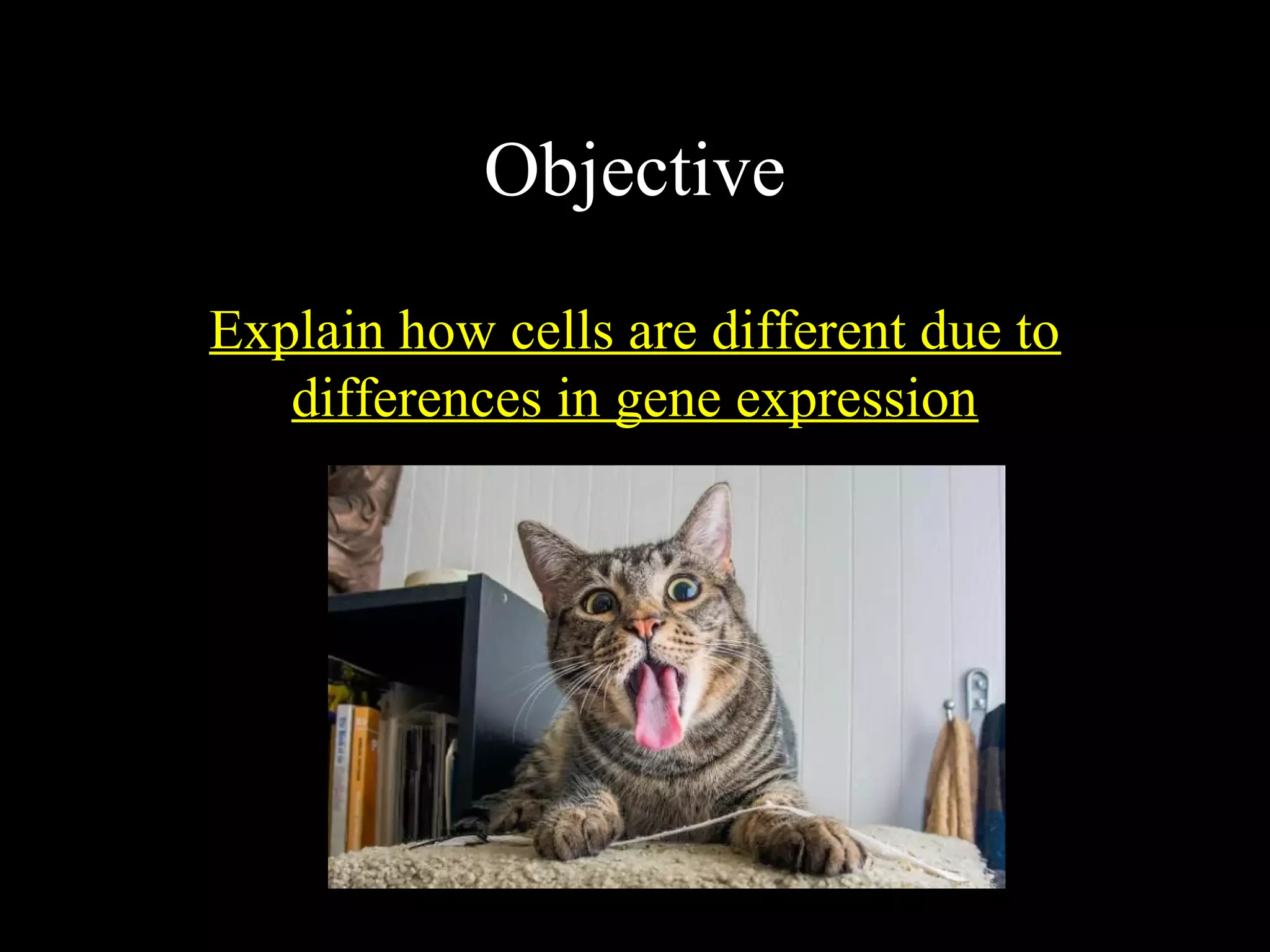 Cell Differentiation And Differential Gene Expression Ppt
