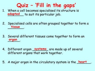 CELL DIFFRENTIATION.pptx