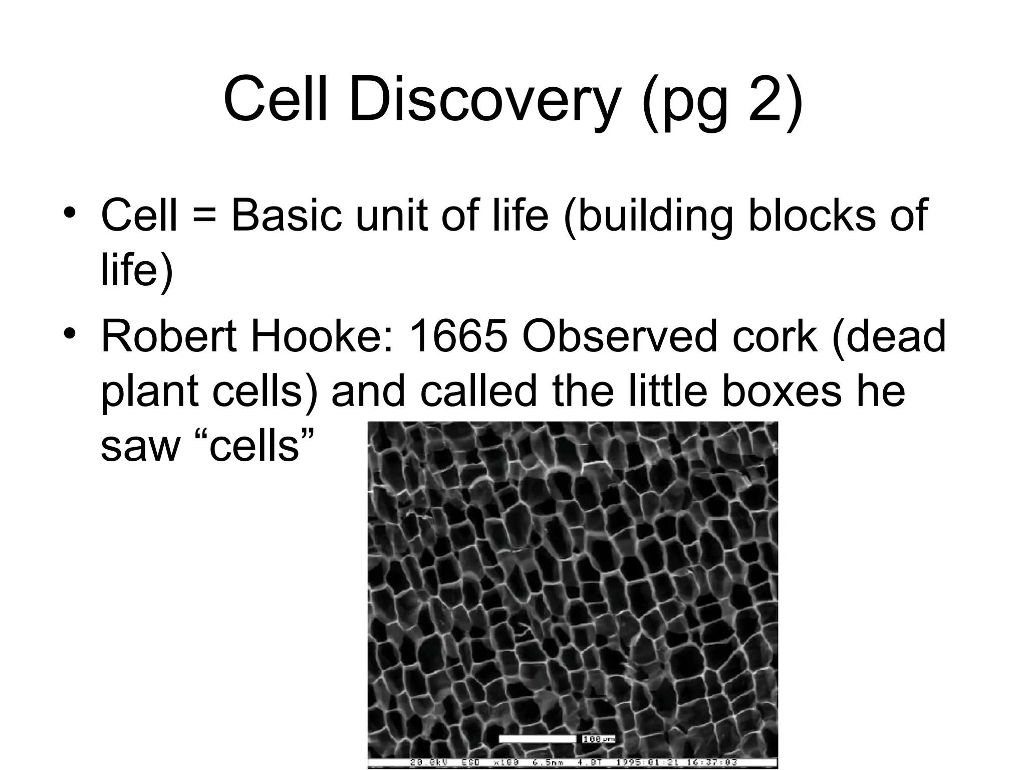 Cell discovery | PPT
