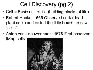 Cell discovery | PPT