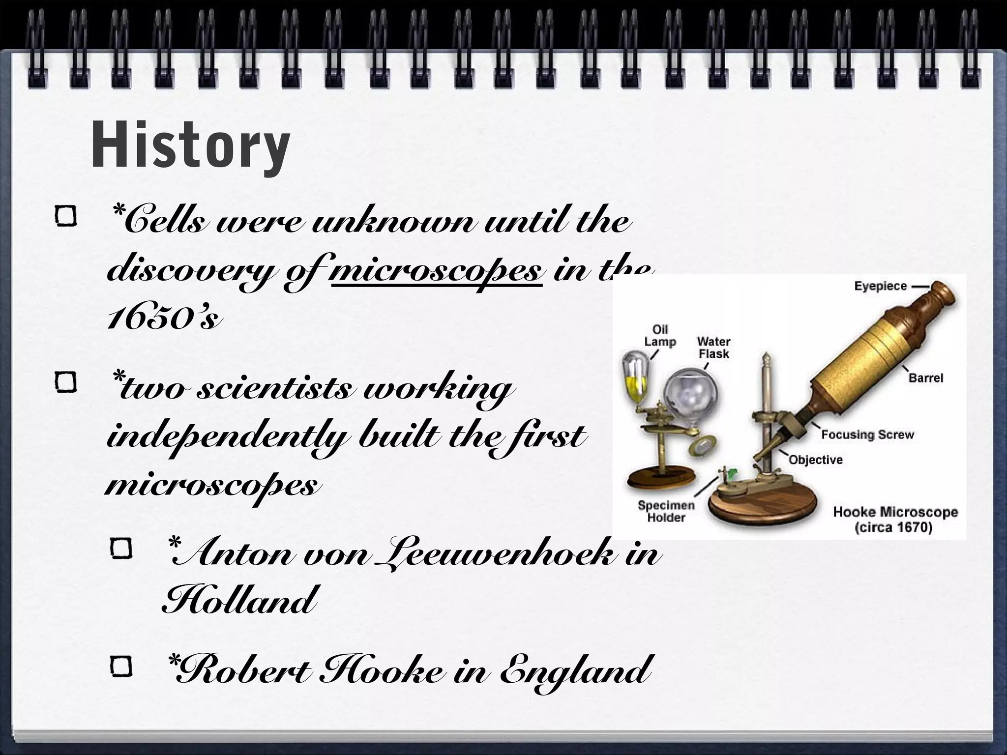 Cell discovery and theory | PPT