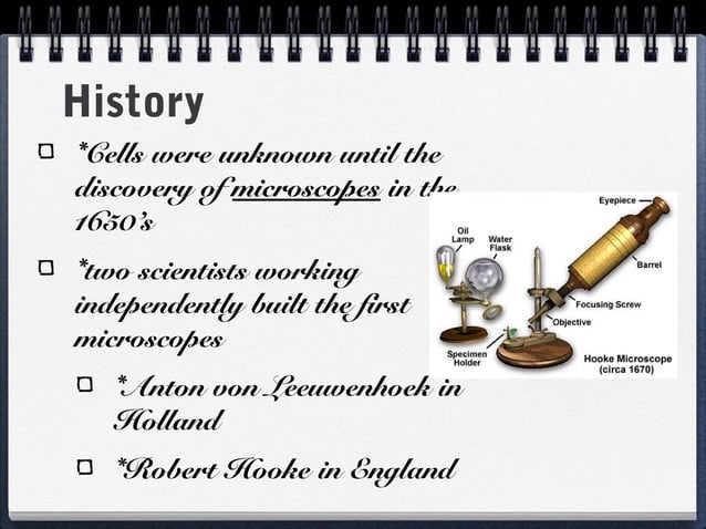 Cell discovery and theory | PPT