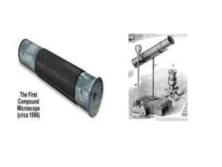Cell discovery & cell theory | PPTX