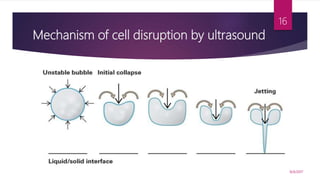 Cell disruption methods | PPTX | Biological Sciences | Science