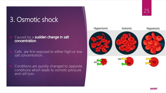 Cell disruption methods