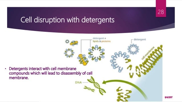 Cell disruption methods