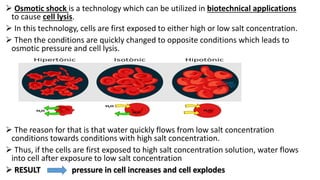 Cell disruption | PPTX