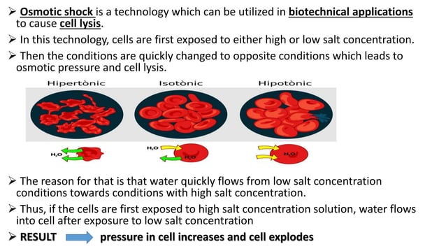 Cell disruption | PPT
