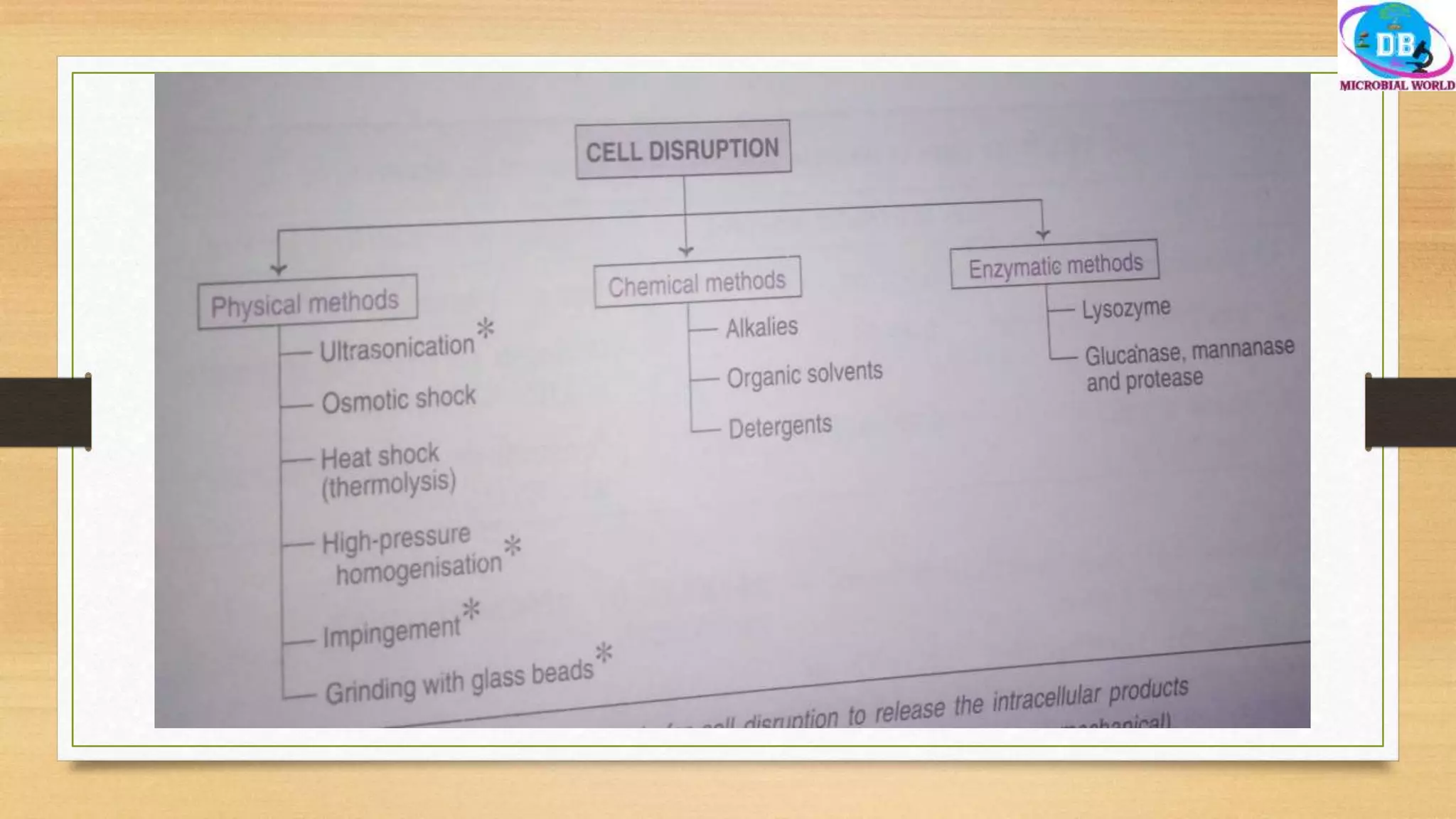Cell disruption | PPT