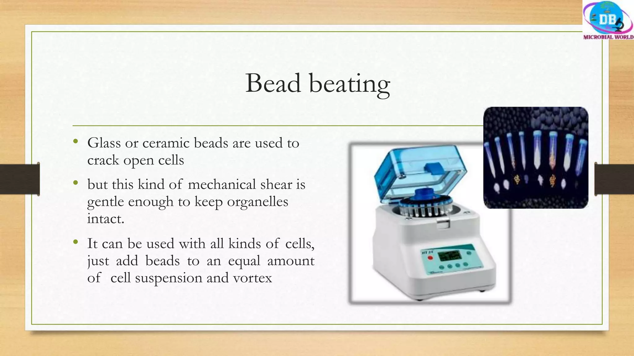 Cell disruption | PPT