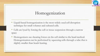 Cell disruption | PPT