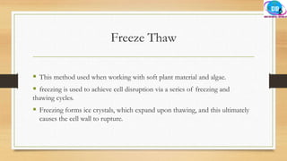 Cell disruption | PPT