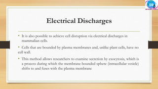 Cell disruption | PPT