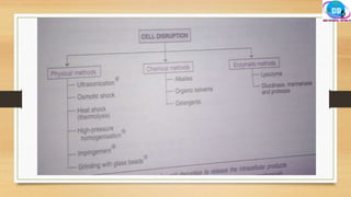 Cell disruption | PPT