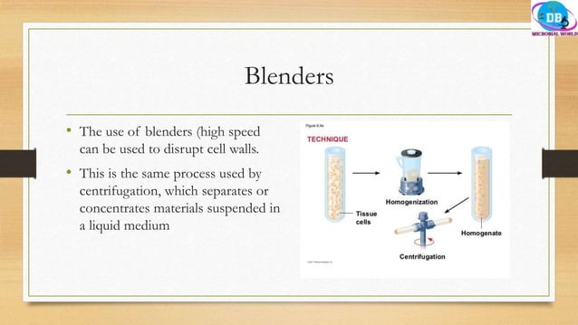 Cell disruption | PPT
