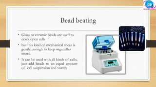 Cell disruption | PPT