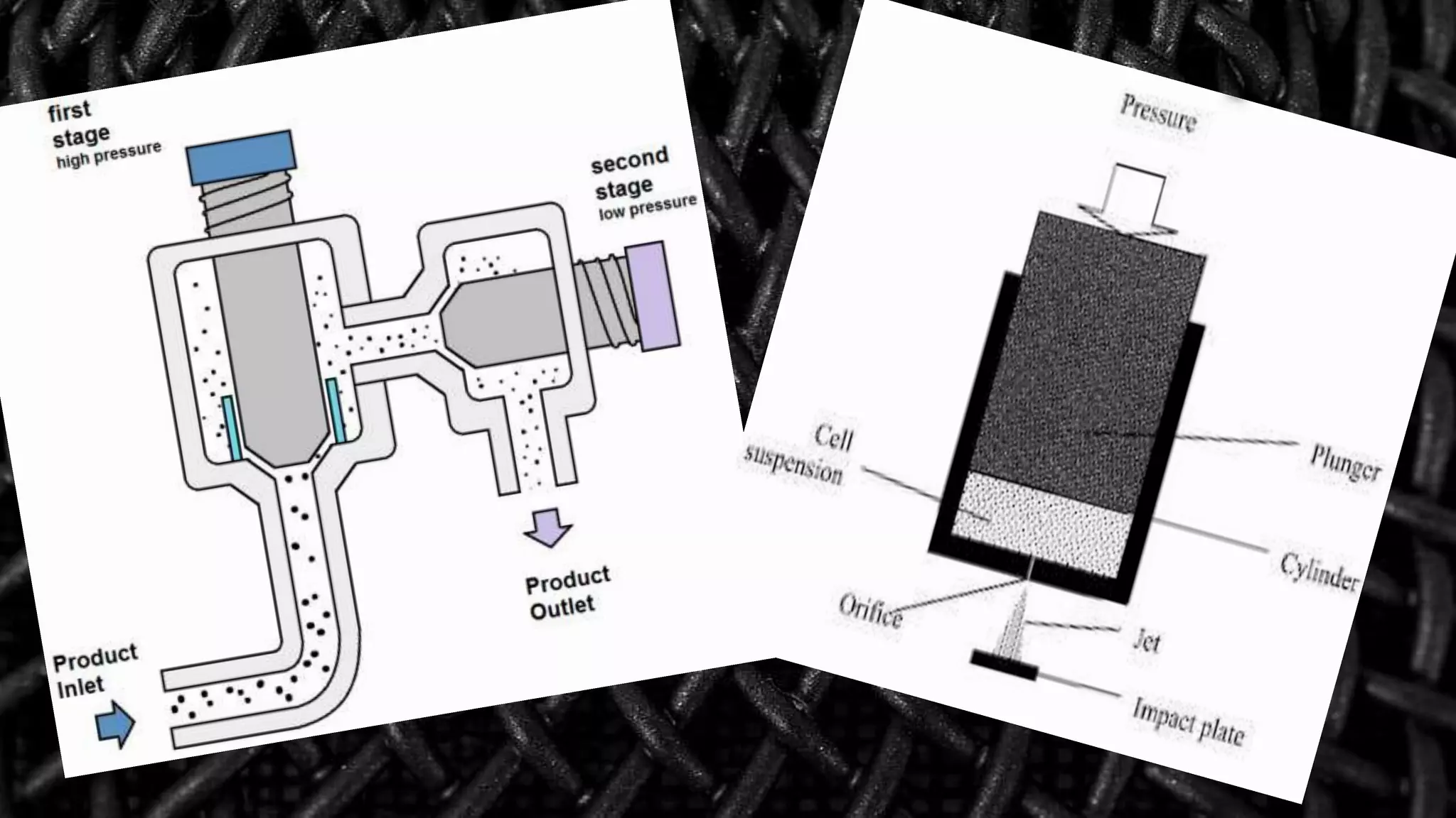 Cell disruption (downstream process) | PPTX