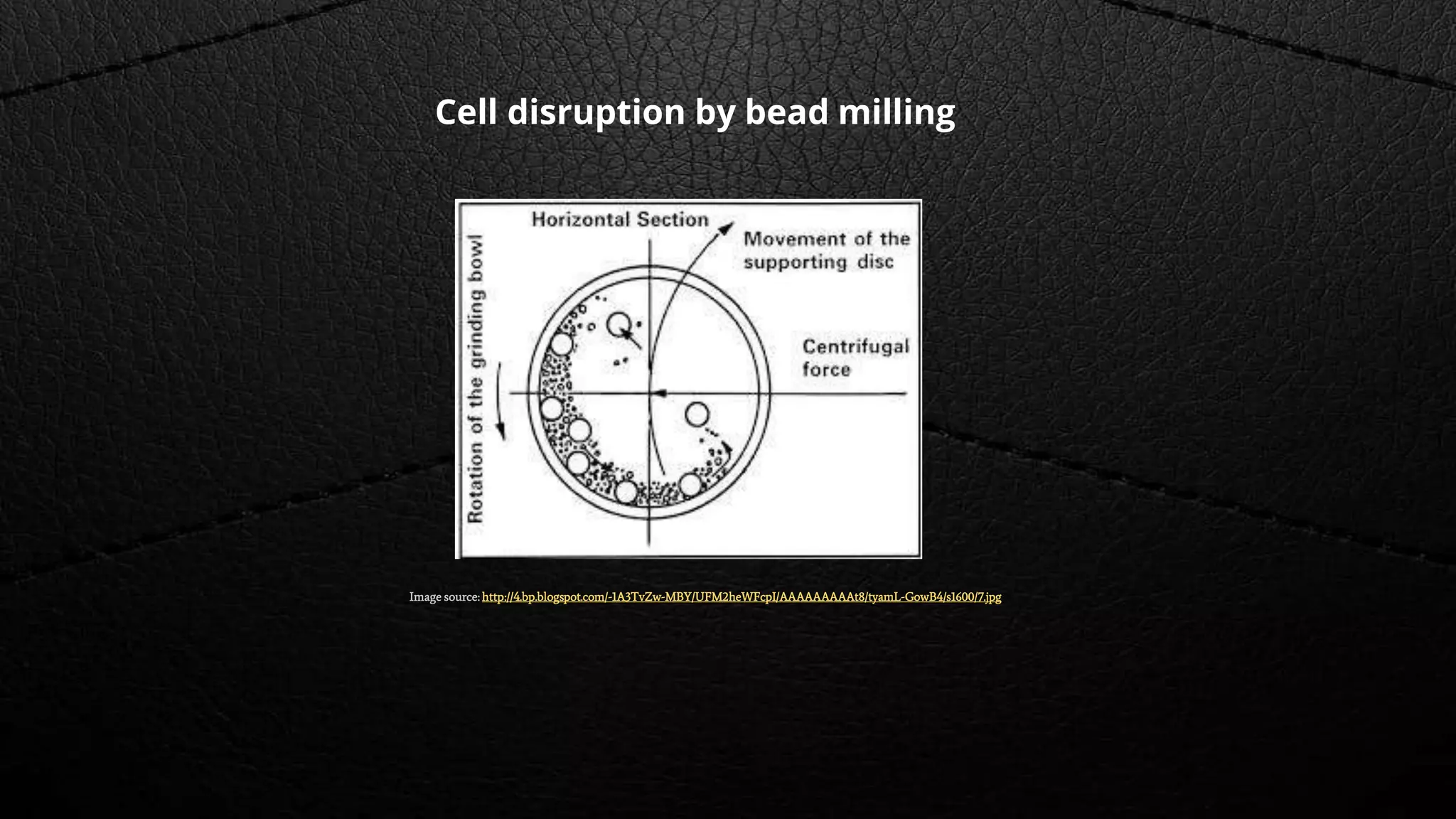 Cell disruption (downstream process) | PPTX