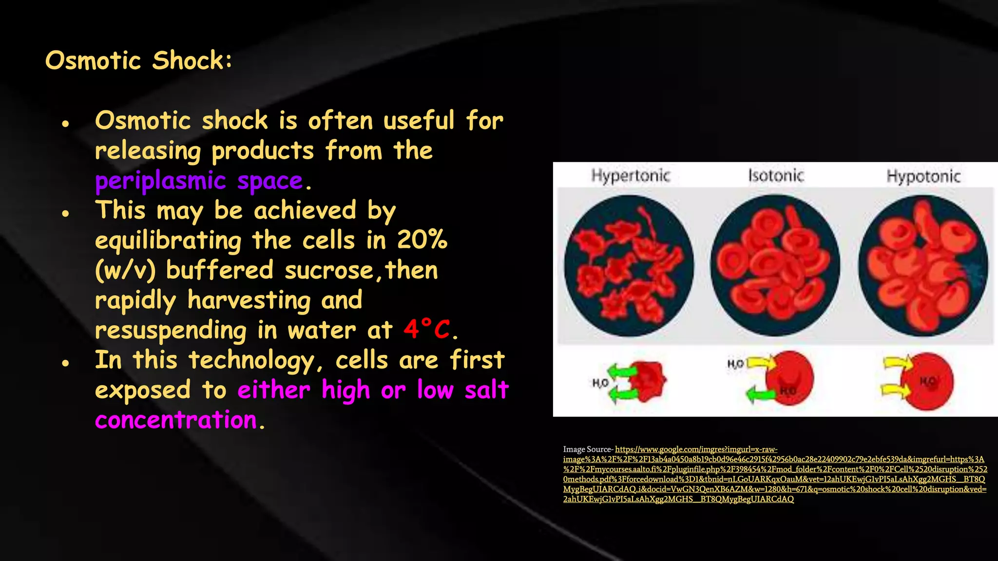 Cell disruption (downstream process) | PPTX