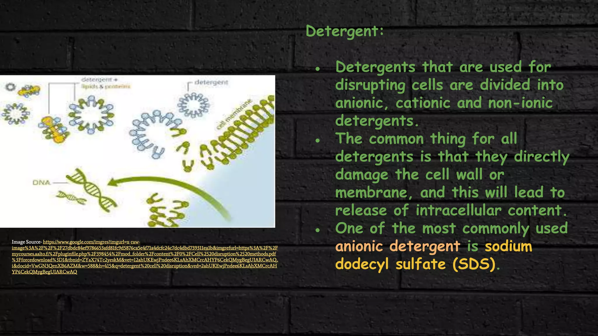 Cell disruption (downstream process) | PPTX