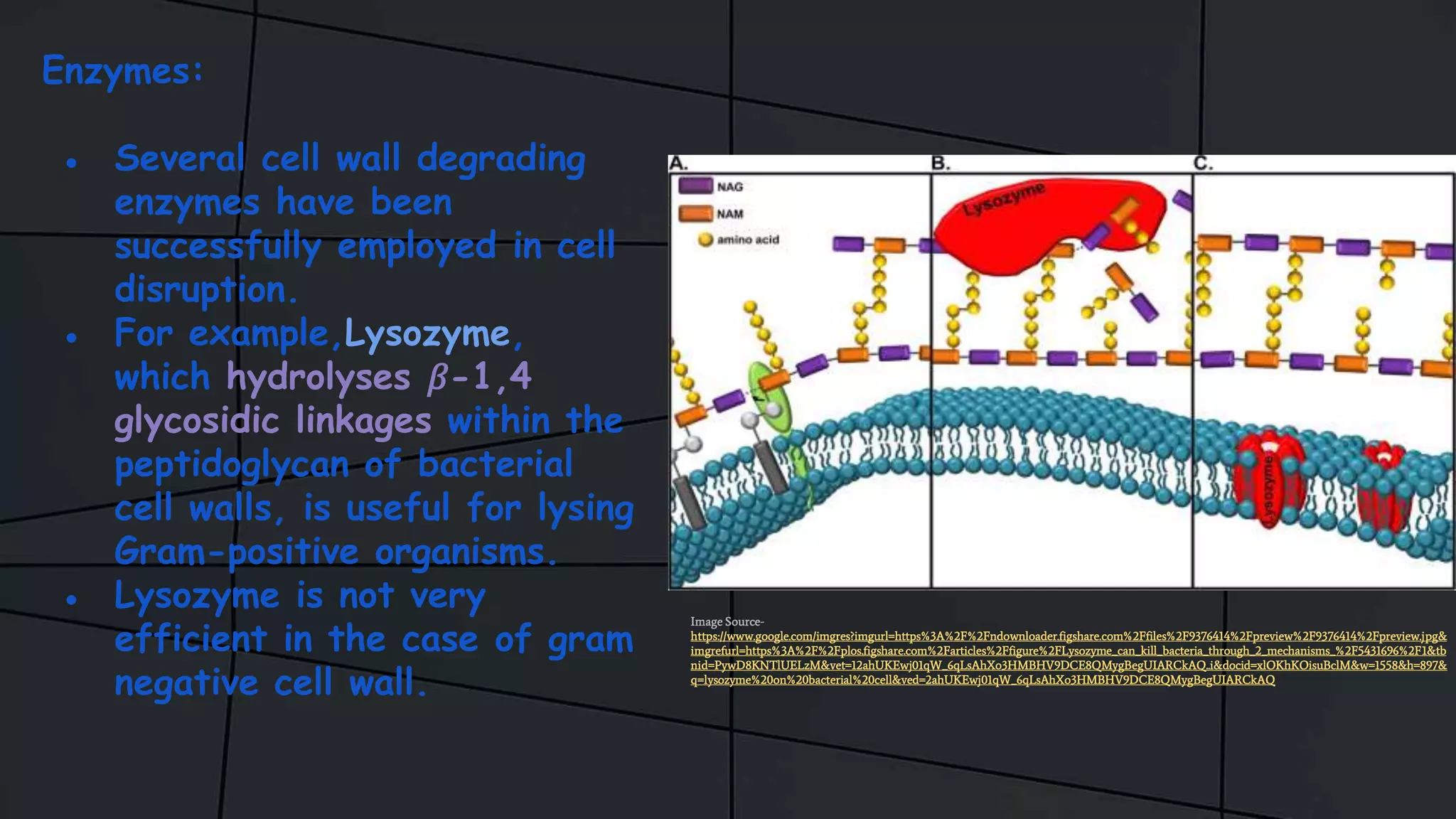 Cell disruption (downstream process) | PPTX