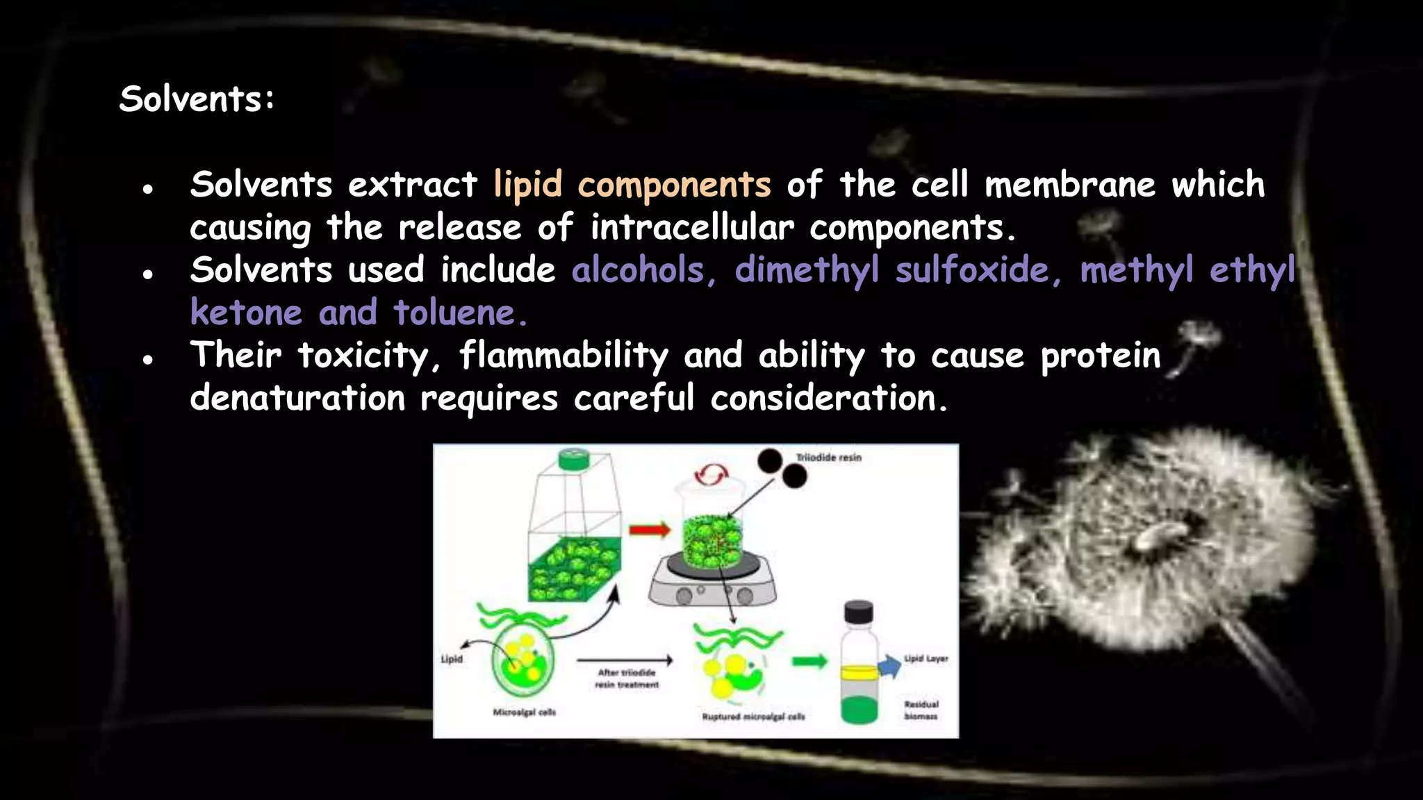Cell disruption (downstream process) | PPTX