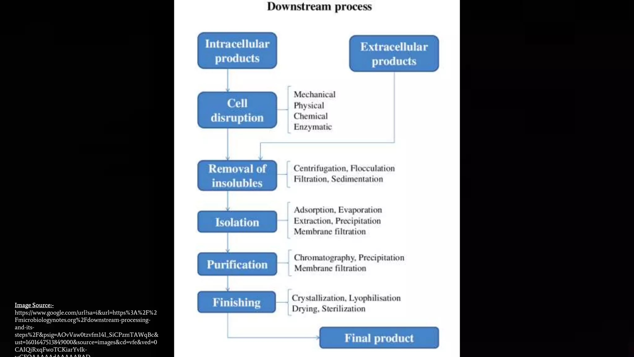 Cell disruption (downstream process) | PPTX