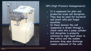Cell disruption (downstream process) | PPTX