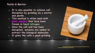 Cell disruption (downstream process) | PPTX