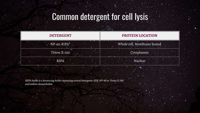 Cell disruption (downstream process) | PPTX | Biological Sciences | Science