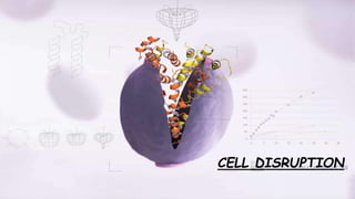 Cell disruption (downstream process) | PPTX