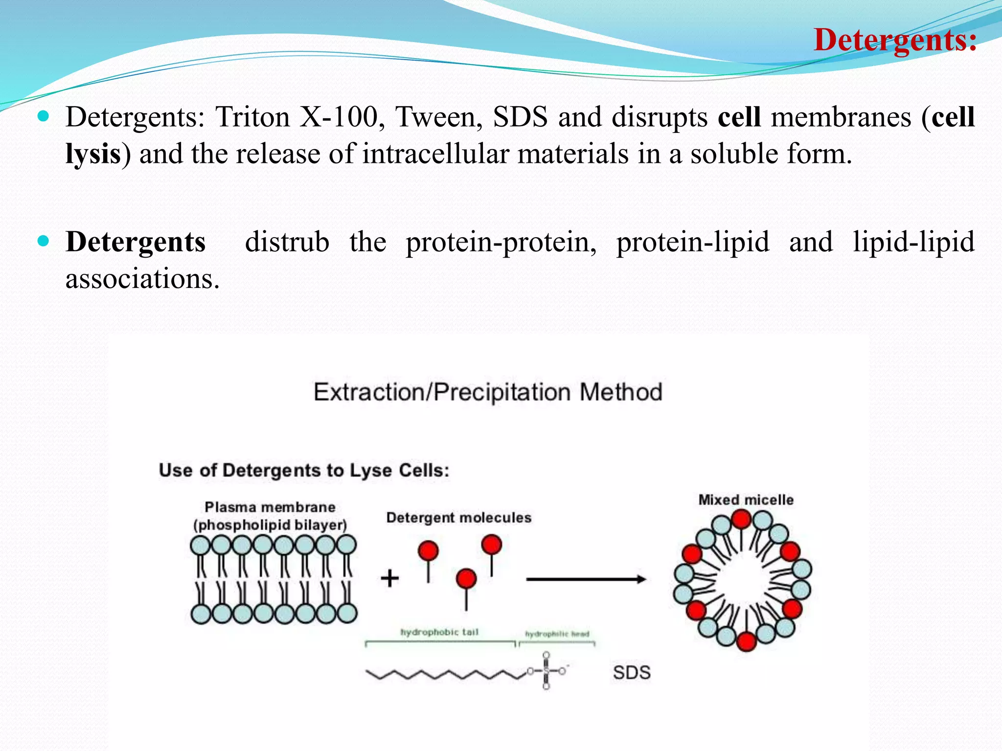 Cell disruption methods | PPTX