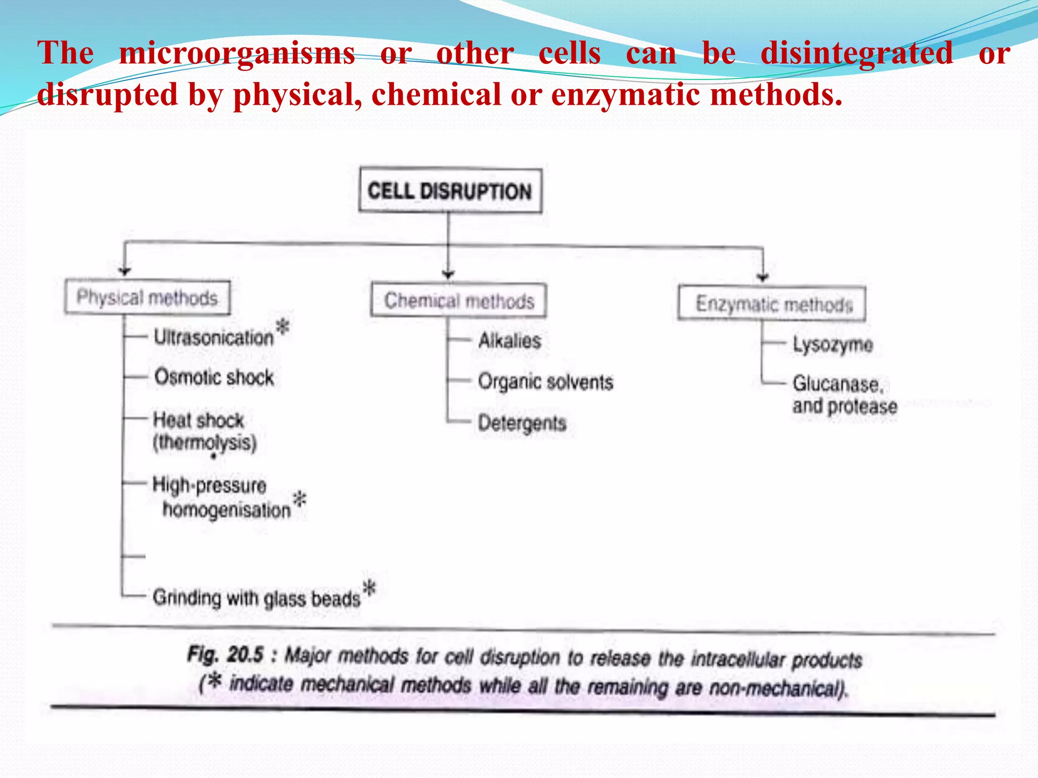 Cell disruption methods | PPTX