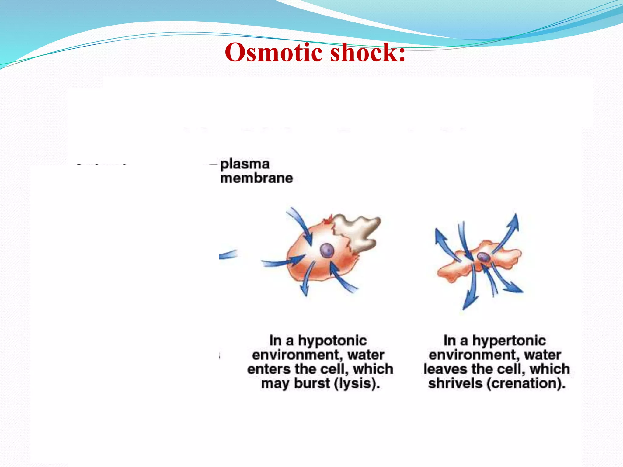 Cell disruption methods | PPTX
