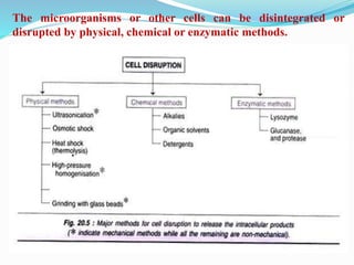 Cell disruption methods | PPTX