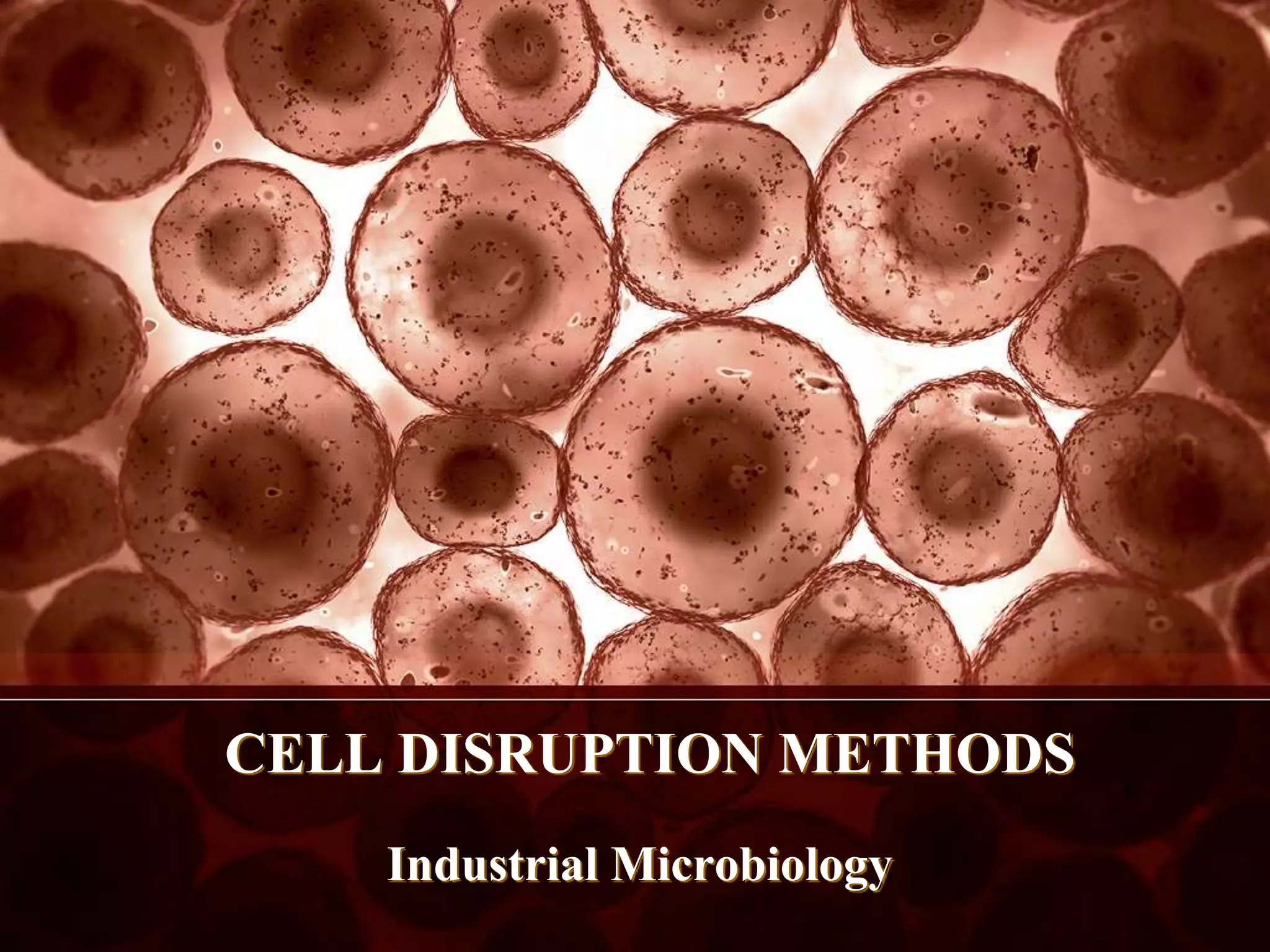 Cell disruption ppt | PPTX