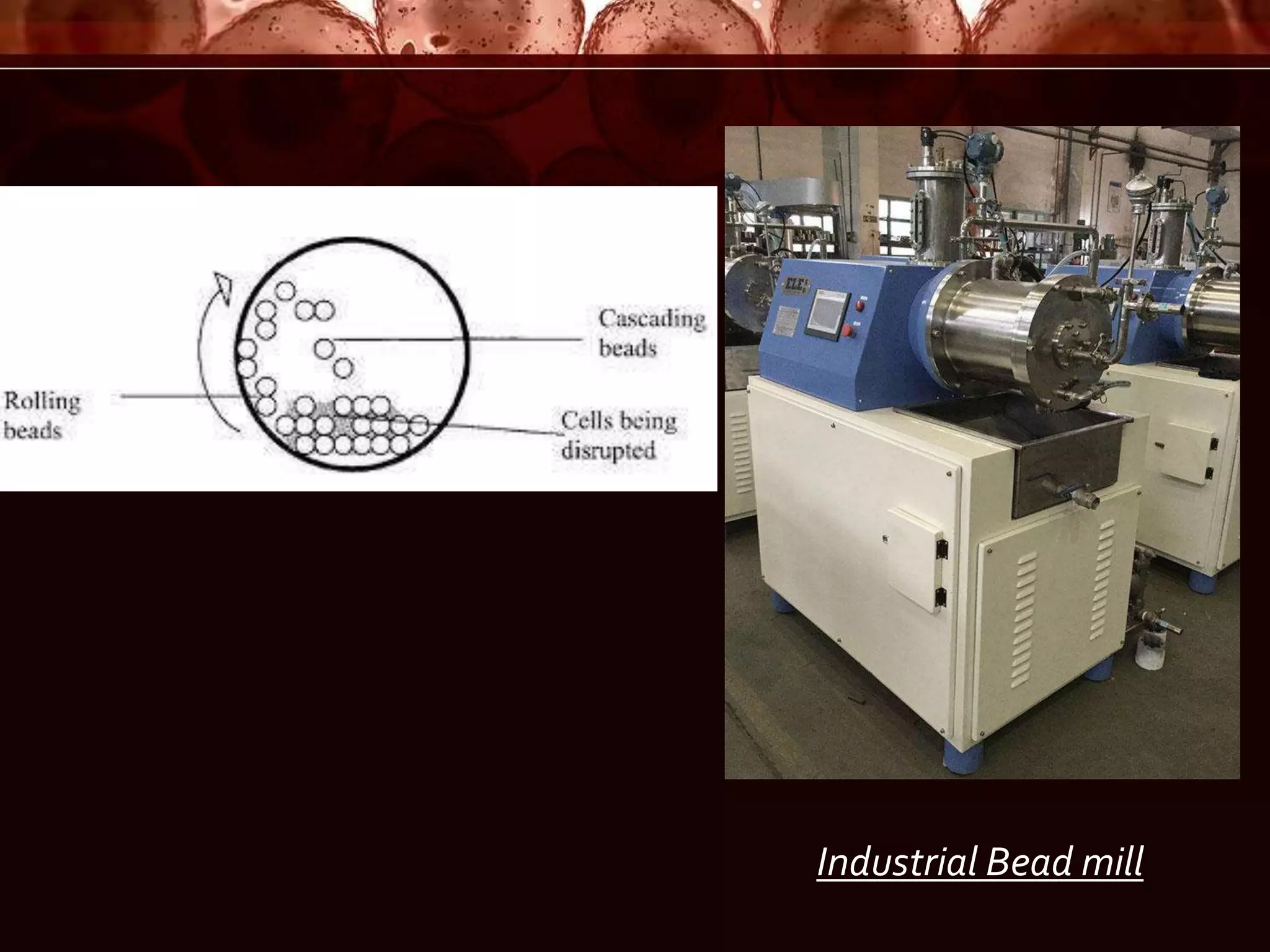 Cell disruption ppt | PPTX
