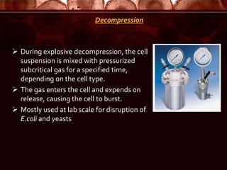 Cell disruption ppt | PPTX