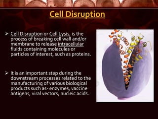 Cell disruption ppt | PPTX